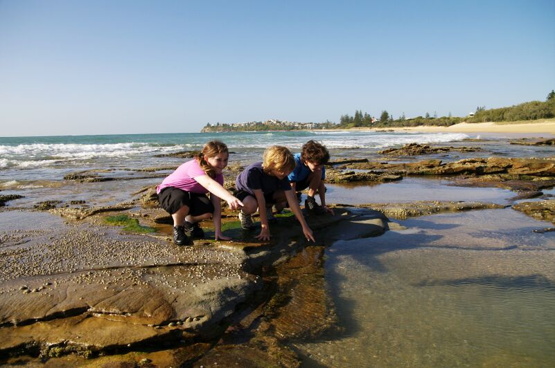 Ocean Whispers: MEDIA RELEASE: ‘Rockpools’ – A new free educational ...