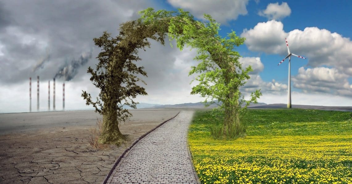 PROBLEMAS AMBIENTALES