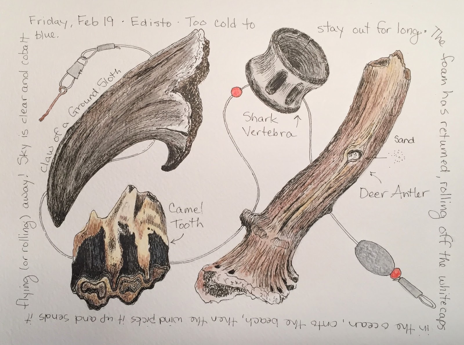 Middlewood Journal: Journaling at the Beach