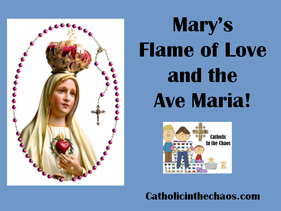 Catholic In the Chaos: Mary's Flame of Love and the Ave Maria!