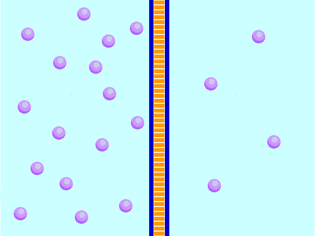 estudodebiologiabusquet: trabalho de biologia