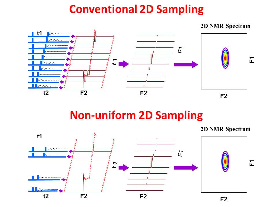 University Of Ottawa Nmr Facility Blog Non Uniform Sampling Nus
