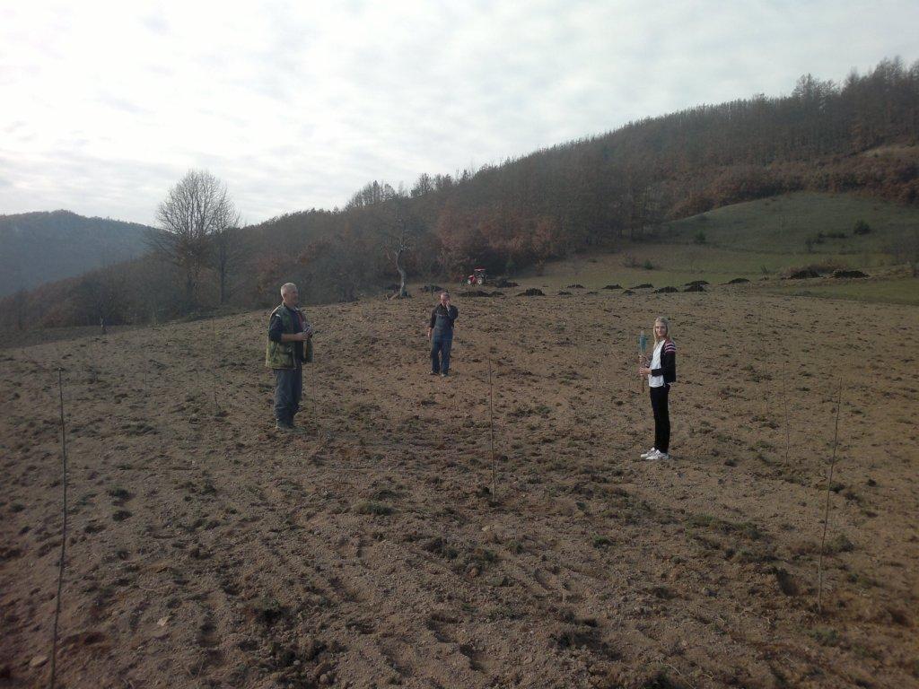 DŽEVDET - DŽEKA MUMINOVIĆ