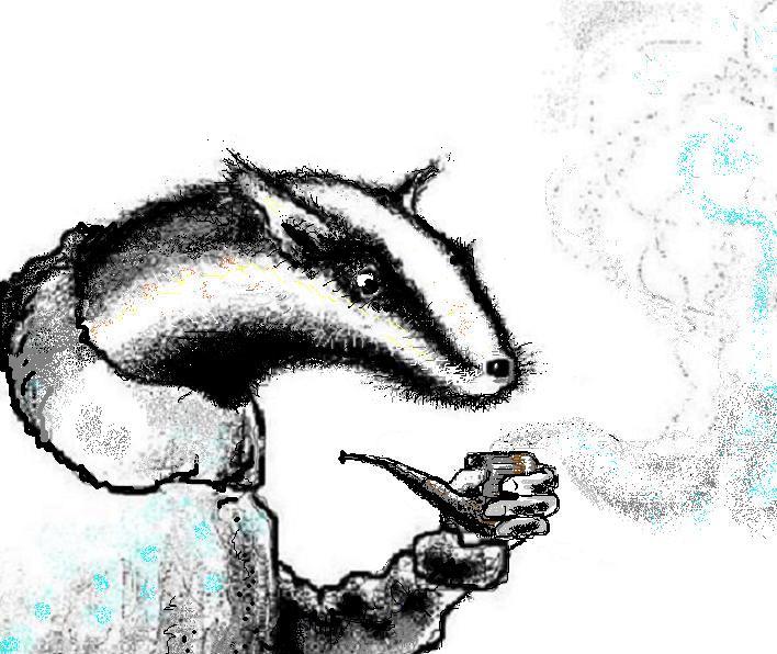 At the back of the hill: PICTURES OF BADGER SMOKING A PIPE