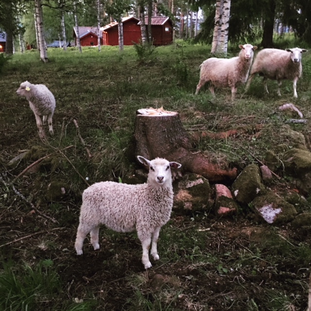 Nördic Knitting: 68. Tappade maskor och massor av tips!