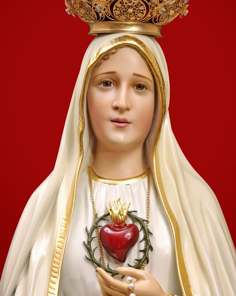 Imagem Nossa Senhora de Fátima aparece em planta | Santos Católicos do ...