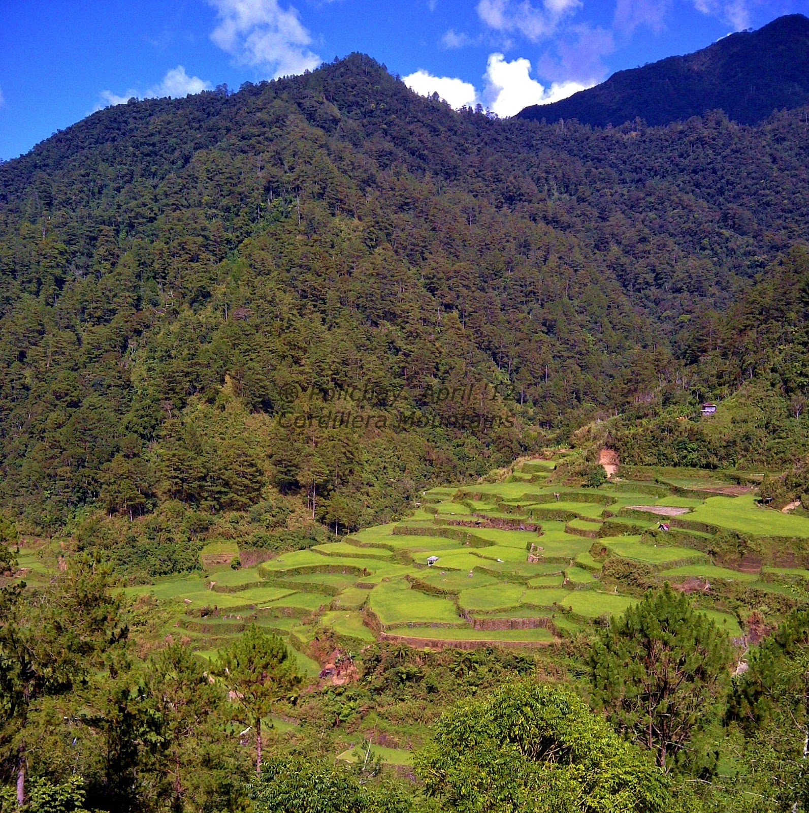 An Igorot Journey: The Cordillera mountains