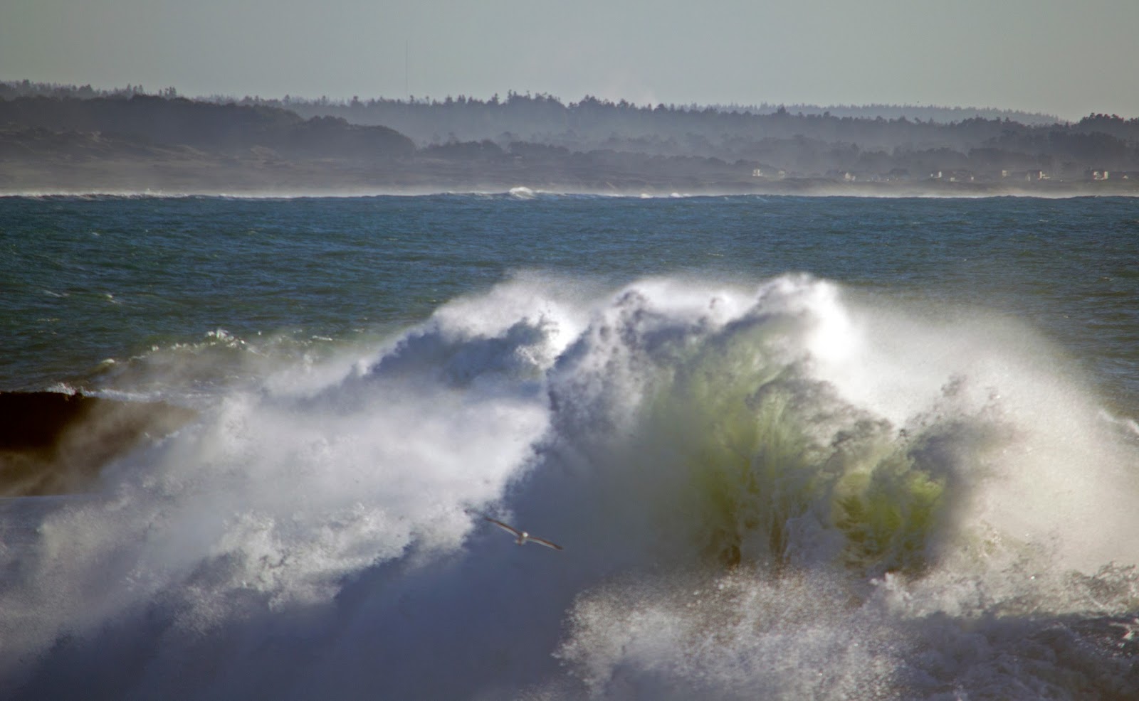 STX Photography by Carlon Cathey - www.stxwavephotography.com: Like a ...