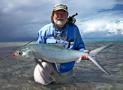 Indonesia Milkfish Factory, How to Fillet Milkfish, Fresh Milkfish ...