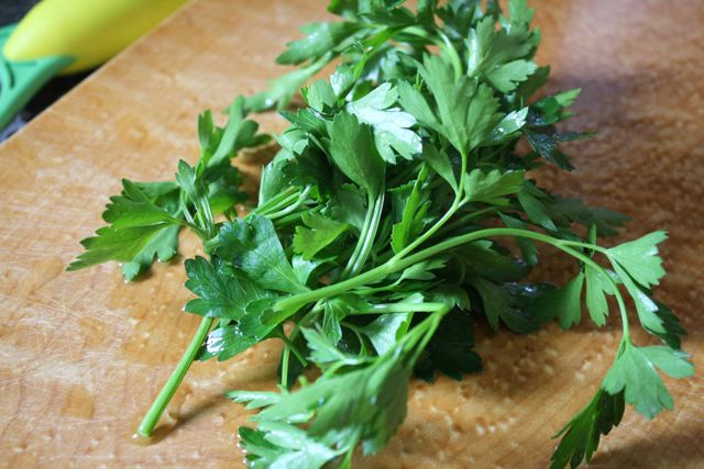 Dollop of Cream: cheddar corn chowder