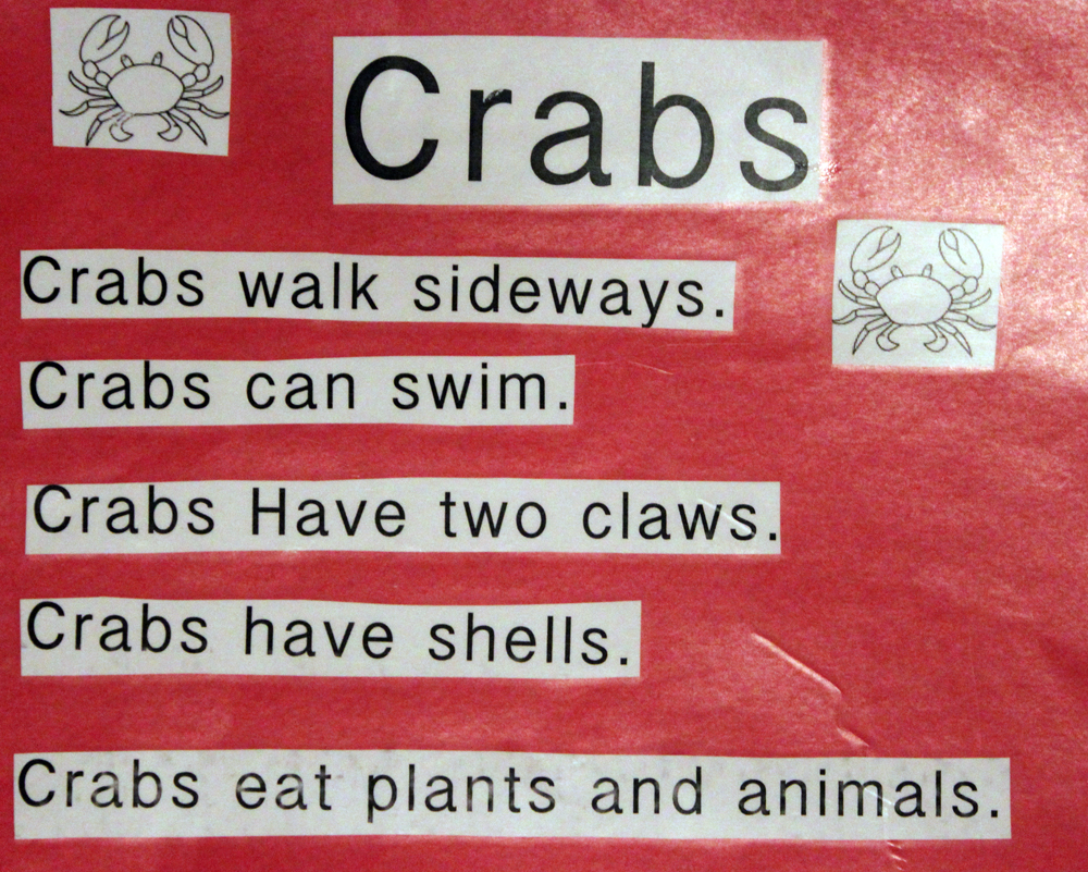 Brilliant Bundles: Crab Crafts and Activities for an Ocean Theme ...