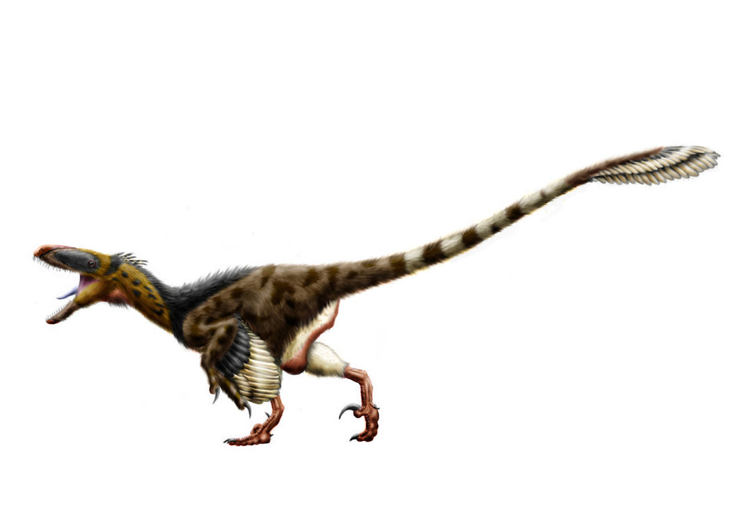 Los animales en la prehistoria: Animales prehistóricos con la letra A