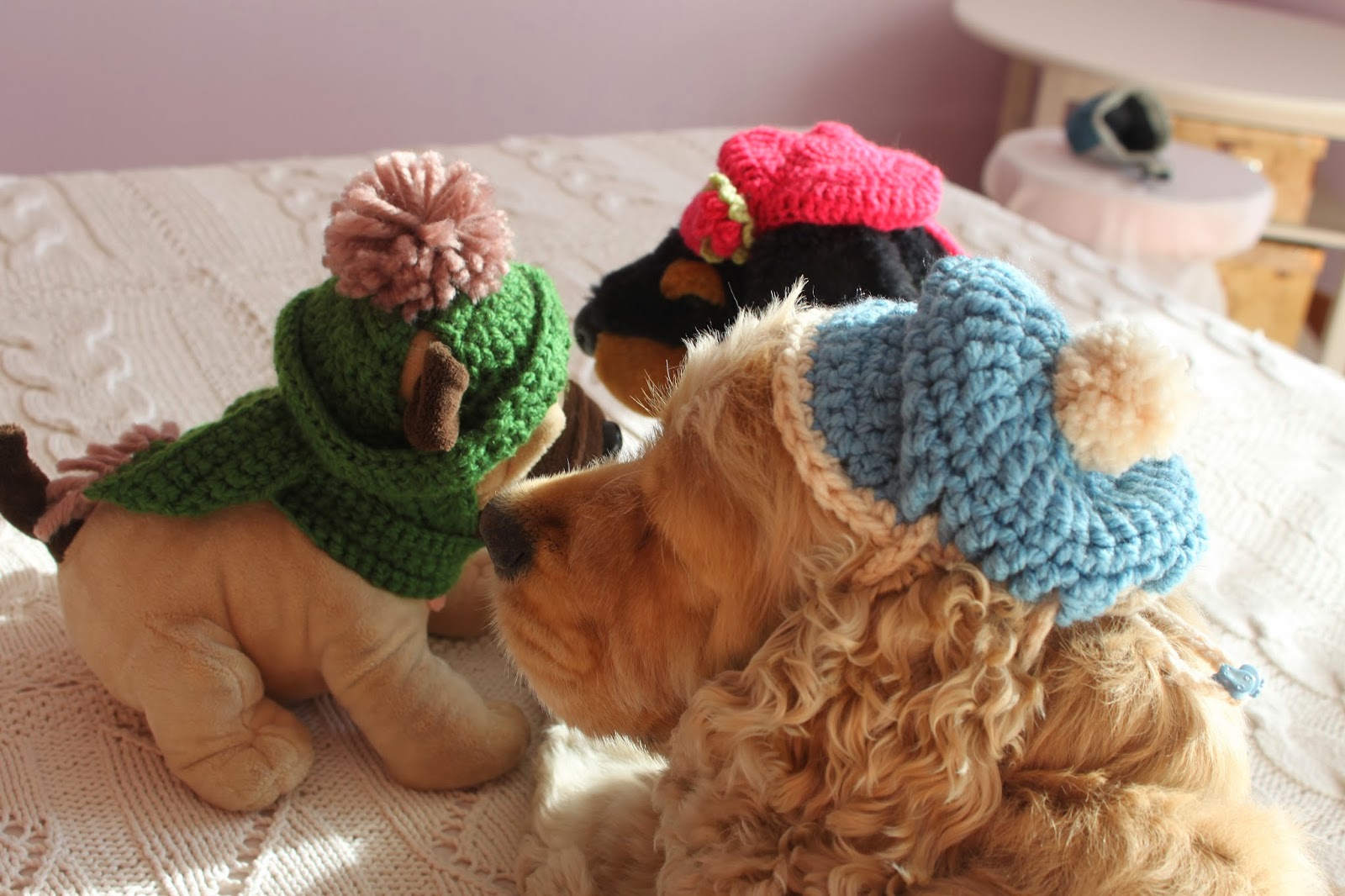 Boinas y Gorros para perros | Manualidades