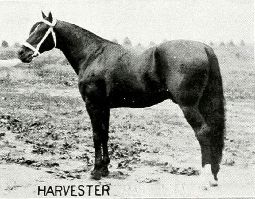 Half Pudding Half Sauce: "CURLES NECK FARM" THE VIRGINIA RESIDENCE of C ...