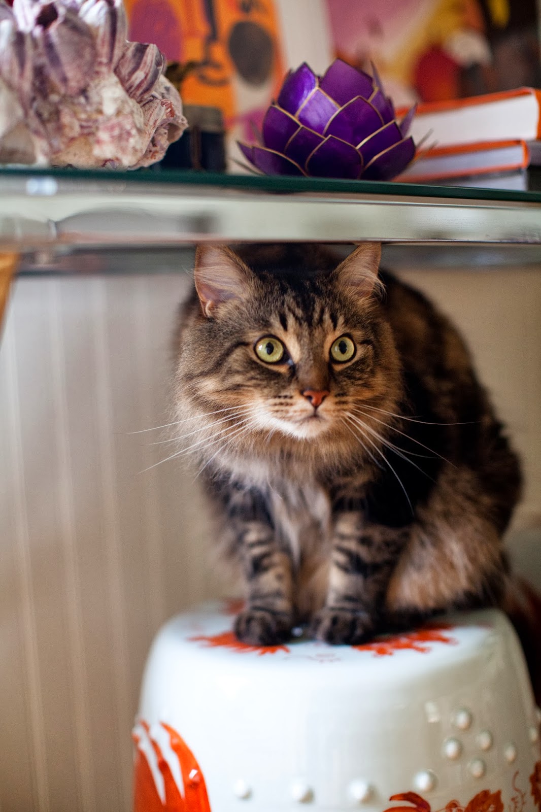 a week of design – starting with jessica’s house