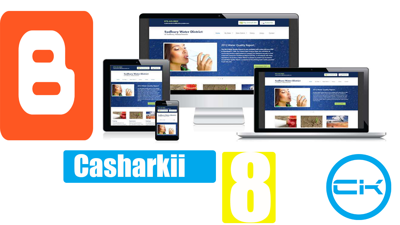 Somali Computer Technology