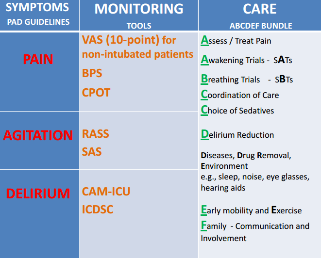 Worldwide survey on the ABCDEF bundle update – Proyecto HUCI