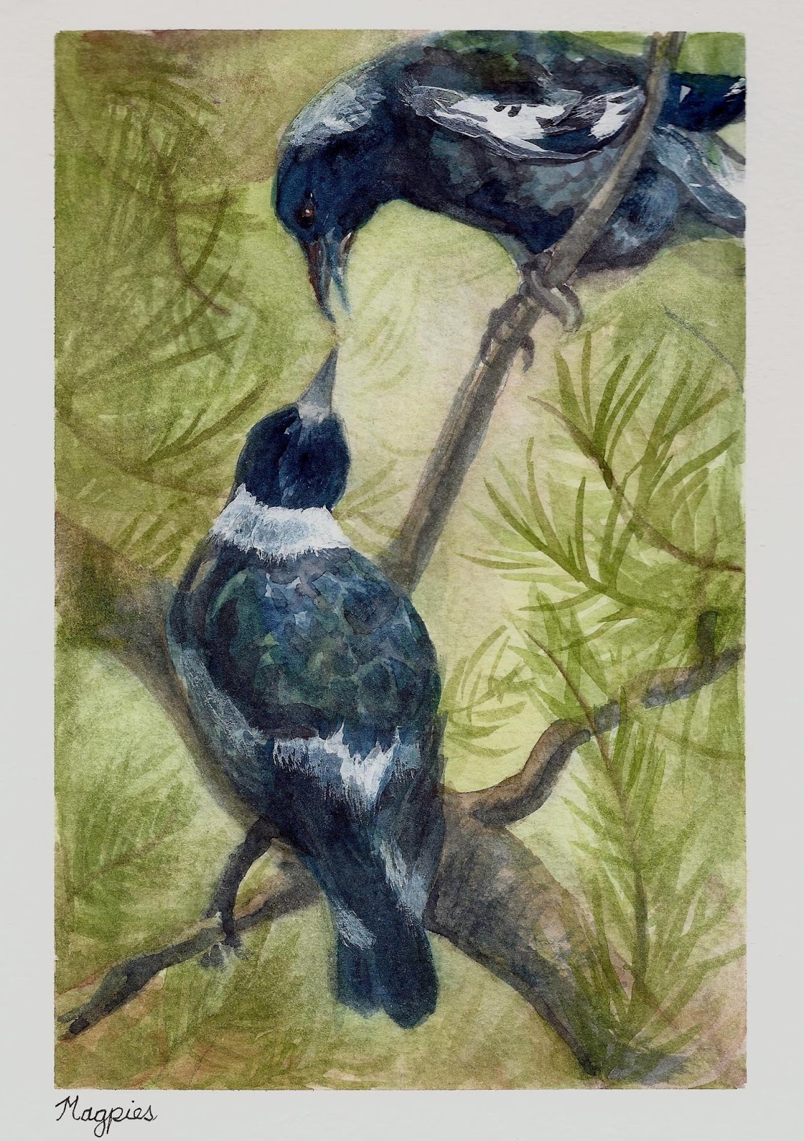 Magpie - 52 Weeks of Watercolor Birds #Watercolor ...