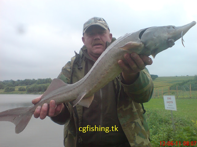 cgFishing : blog de pescar pentru pescari !: Pescuit la Cega pe Iazul ...