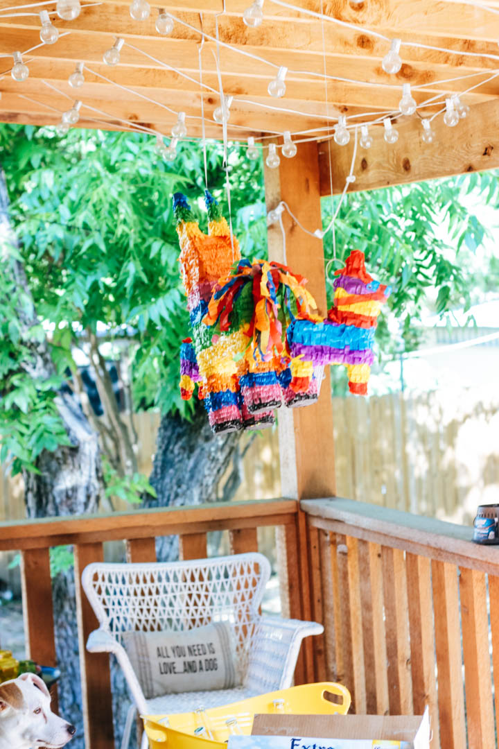 How to Throw an Adult Piñata Party | Venus Trapped in Mars || Dallas