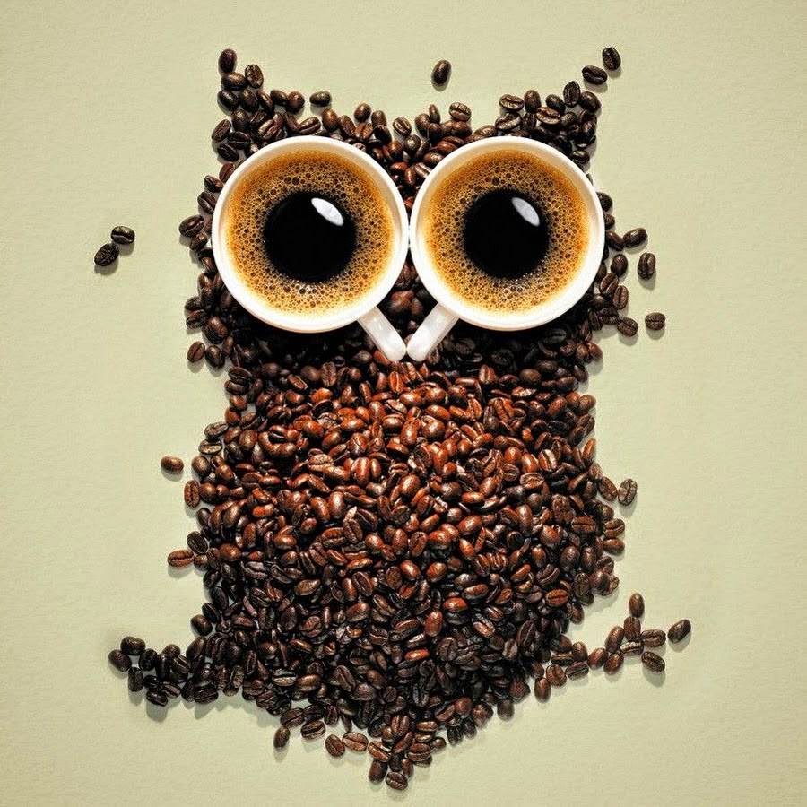 Karya Seni Dari Biji Kopi (Foto Art) | Riez Techno