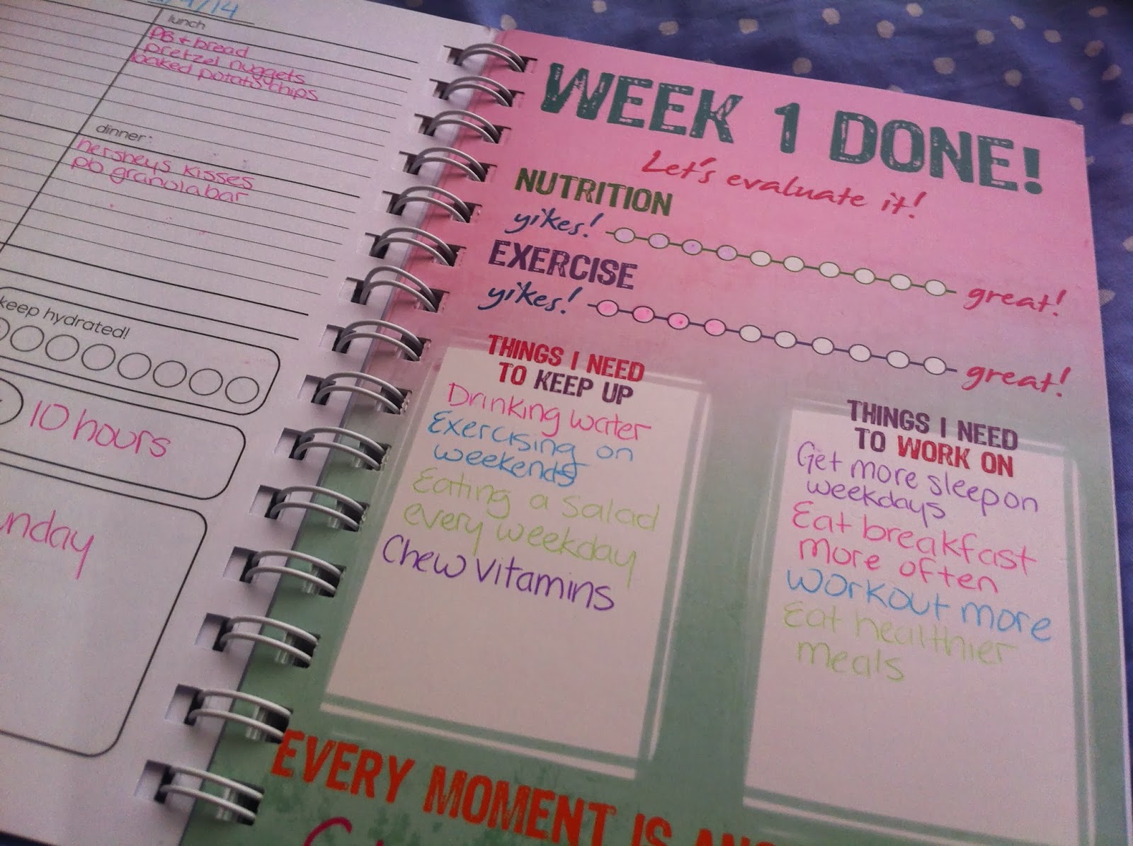 Girl in a Fantasyland: Blogilates Fit Journal: Week 1