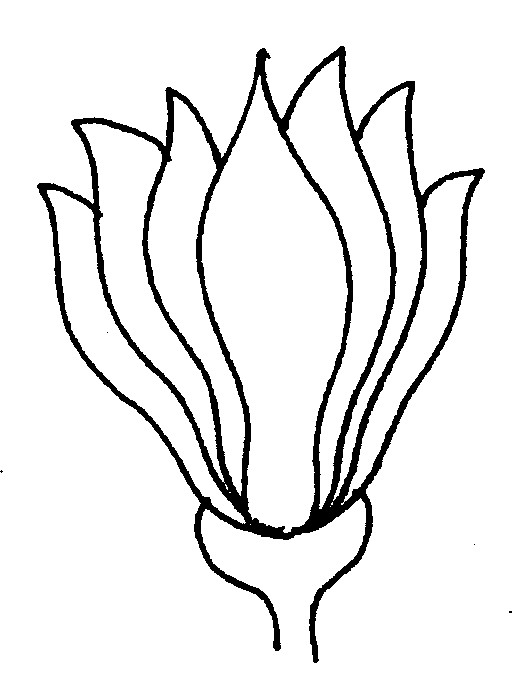 Tha Painter - සිත්තරා: කලාව - kalawa