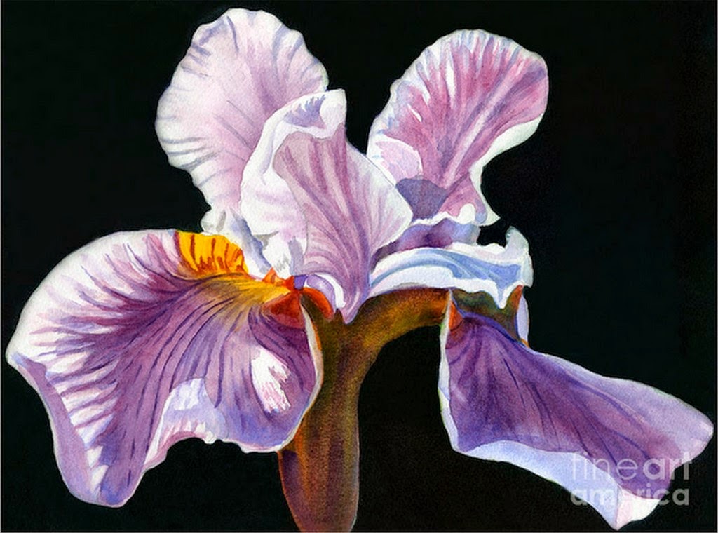 El arte es su máxima expresión : Flores Pintadas con Acuarelas