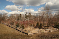 Mishy's Corner of the World: Cedarvale Park