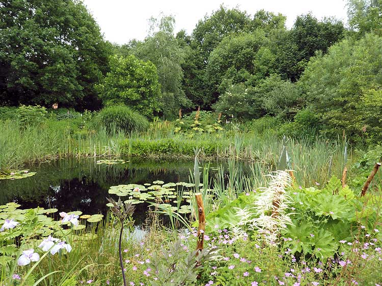 Spinrag: De wilde tuin van Jan in Groningen: op bezoek.