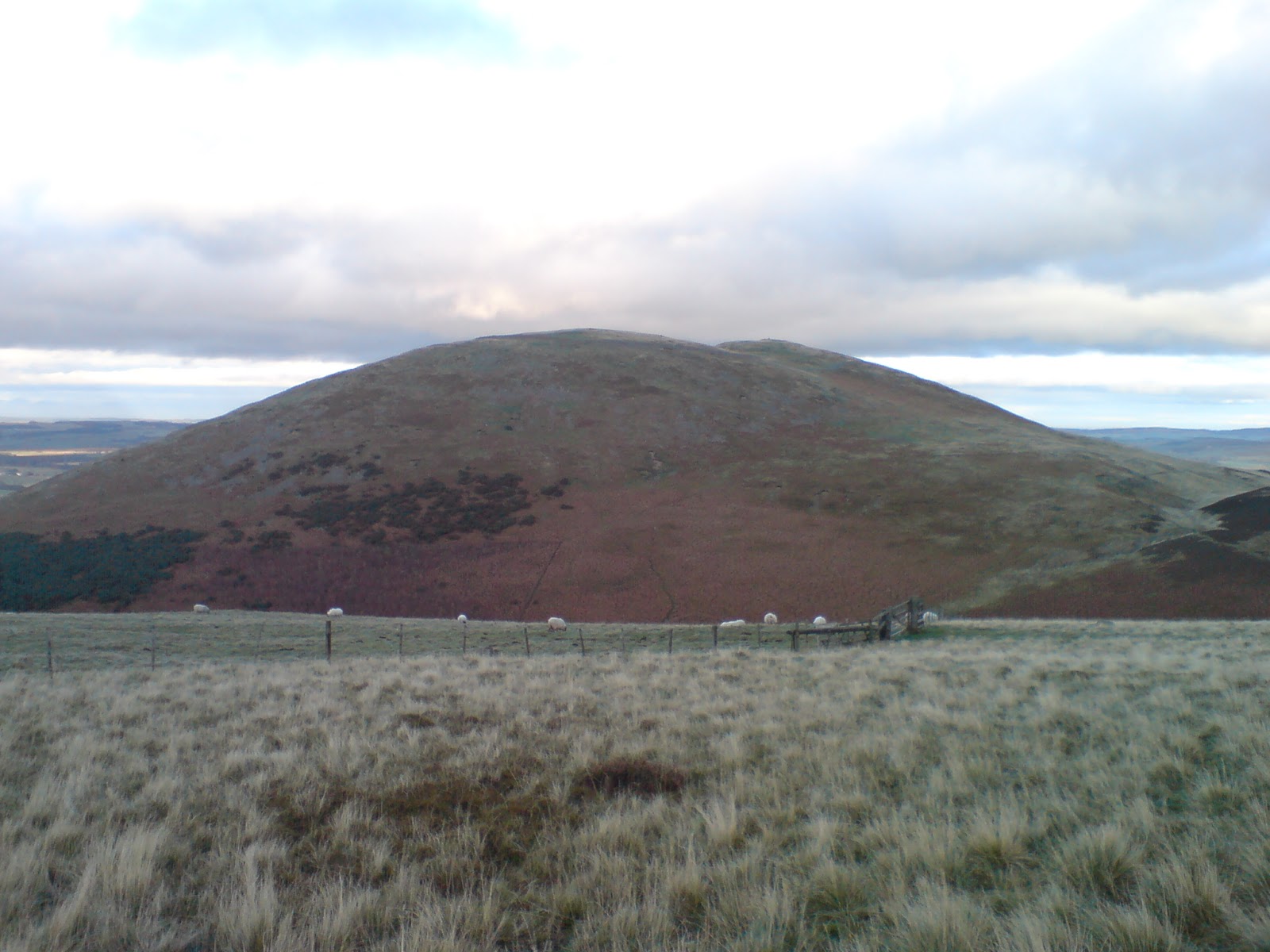 lightonecandle: Yeavering Bell