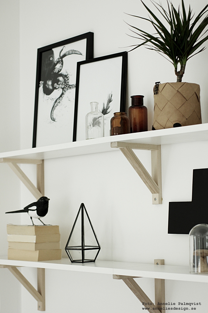 svart, vitt & rött: Hylla med posters och inredningsdetaljer