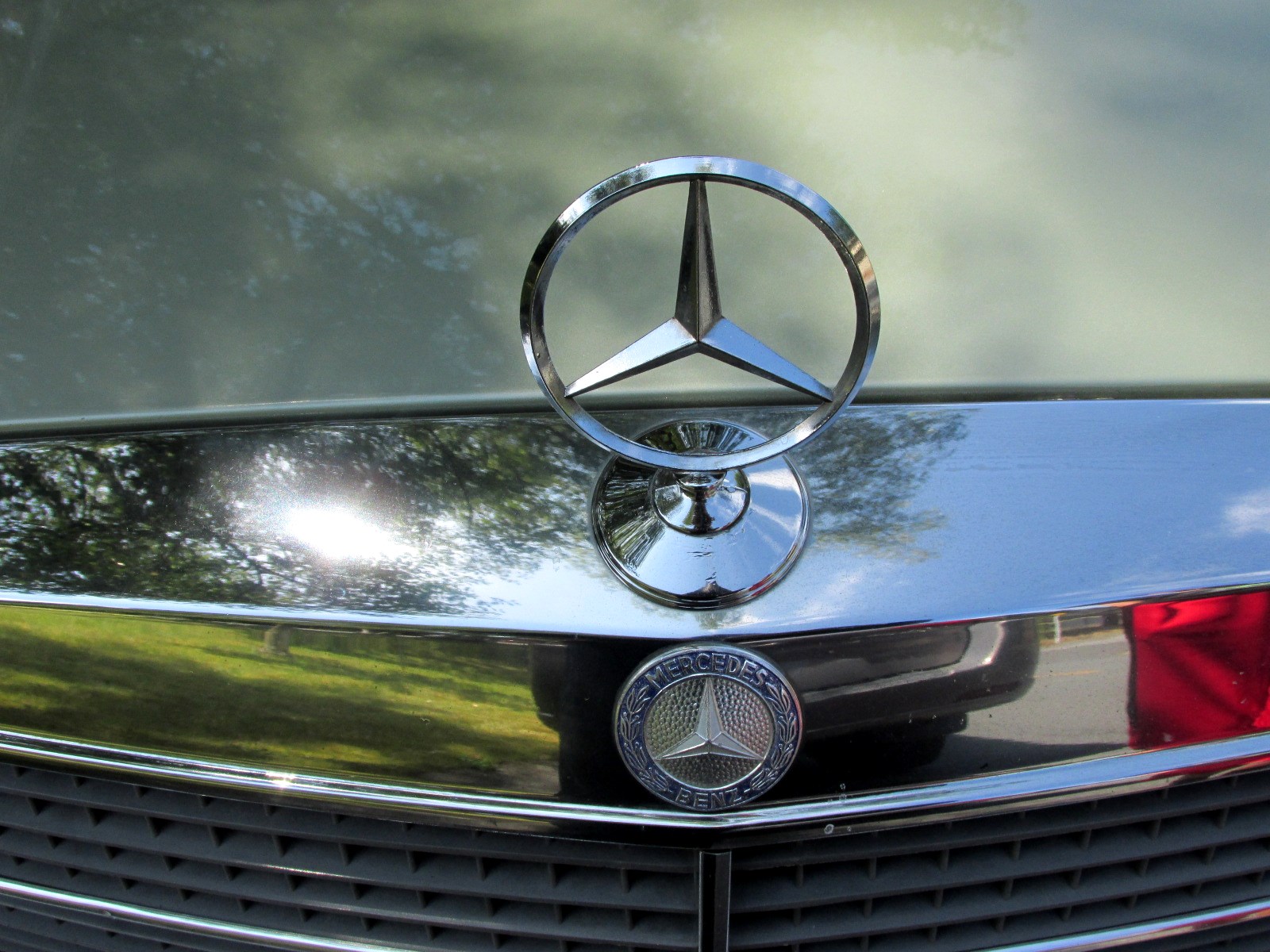 Seattle's Classics: 1980 Mercedes-Benz 300SD