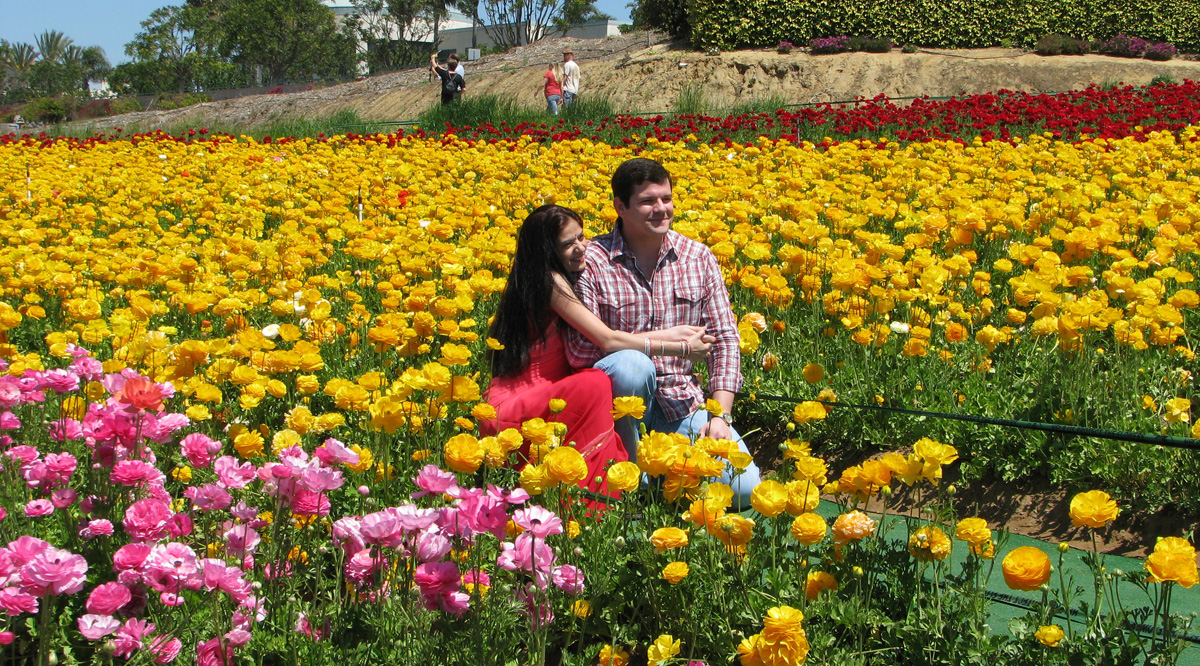 The Bell Curve of Life: Carlsbad Flower Fields - The People