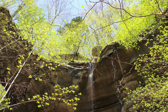 Cumberland Gal: Jamestown Camping Trip--Day 2--Pickett State Forest and ...