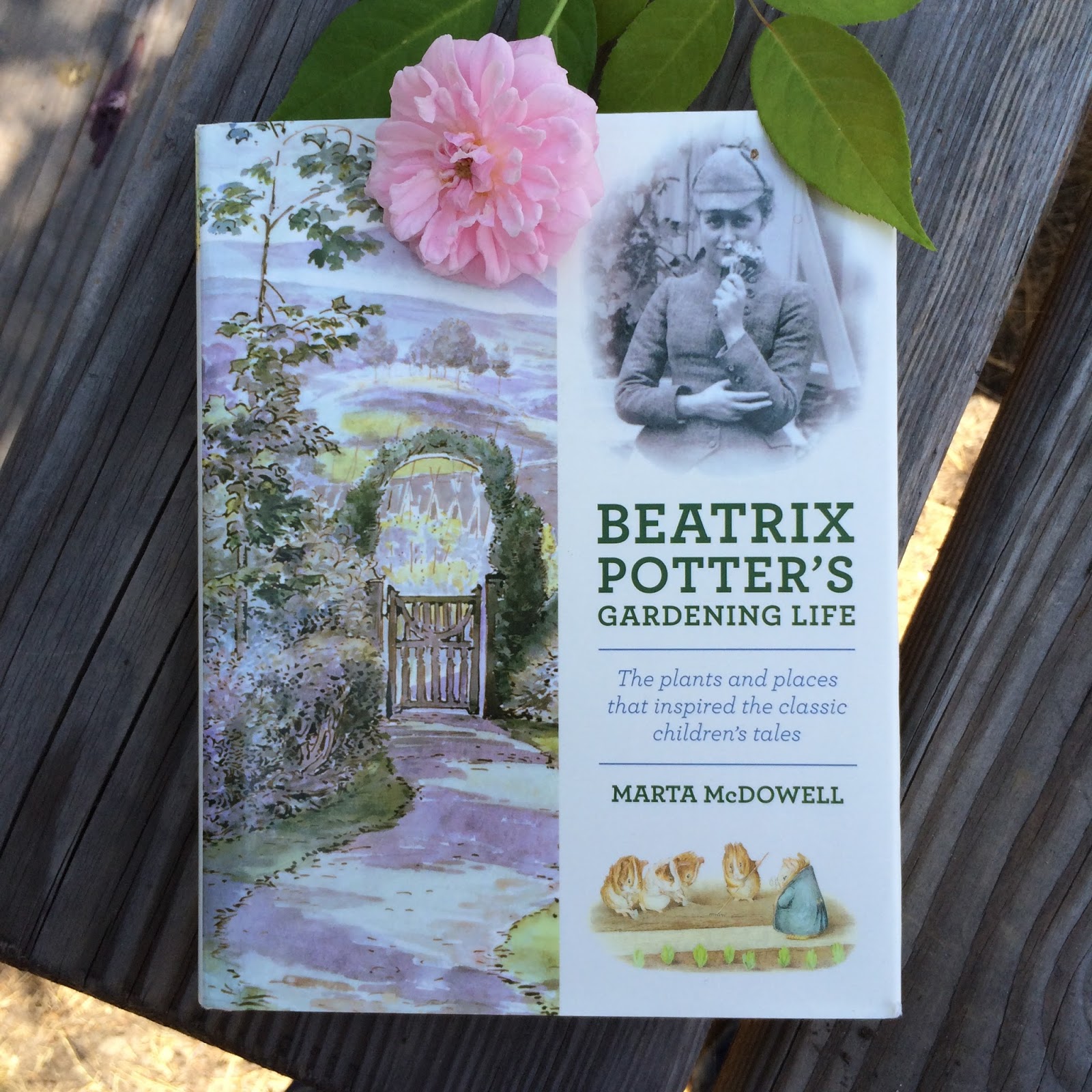 Cozy Nooks and Gardens: Beatrix Potter