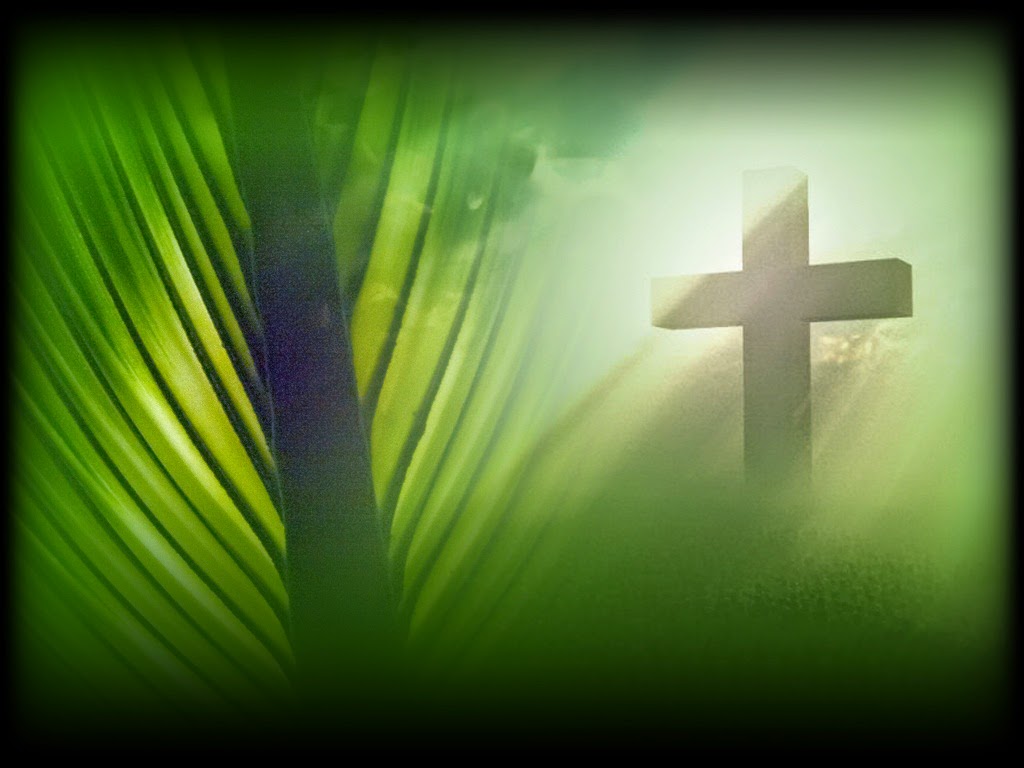 Holy Mass images...: PALM SUNDAY