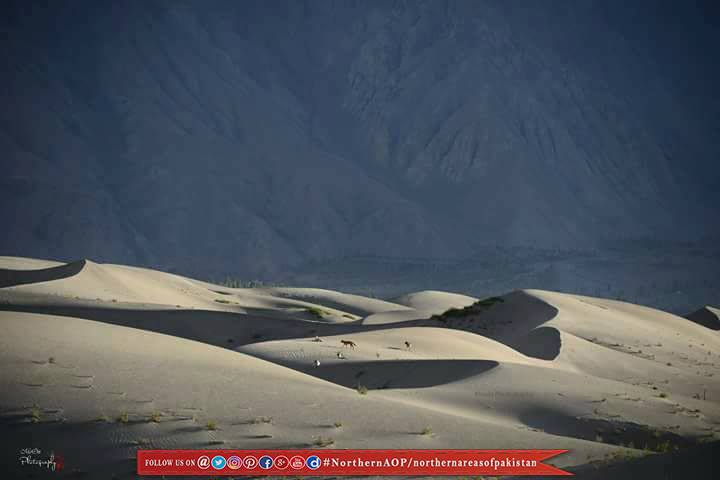 Fascinating Pakistan: Skardu - the Cold Desert ~ Jaho Jalal