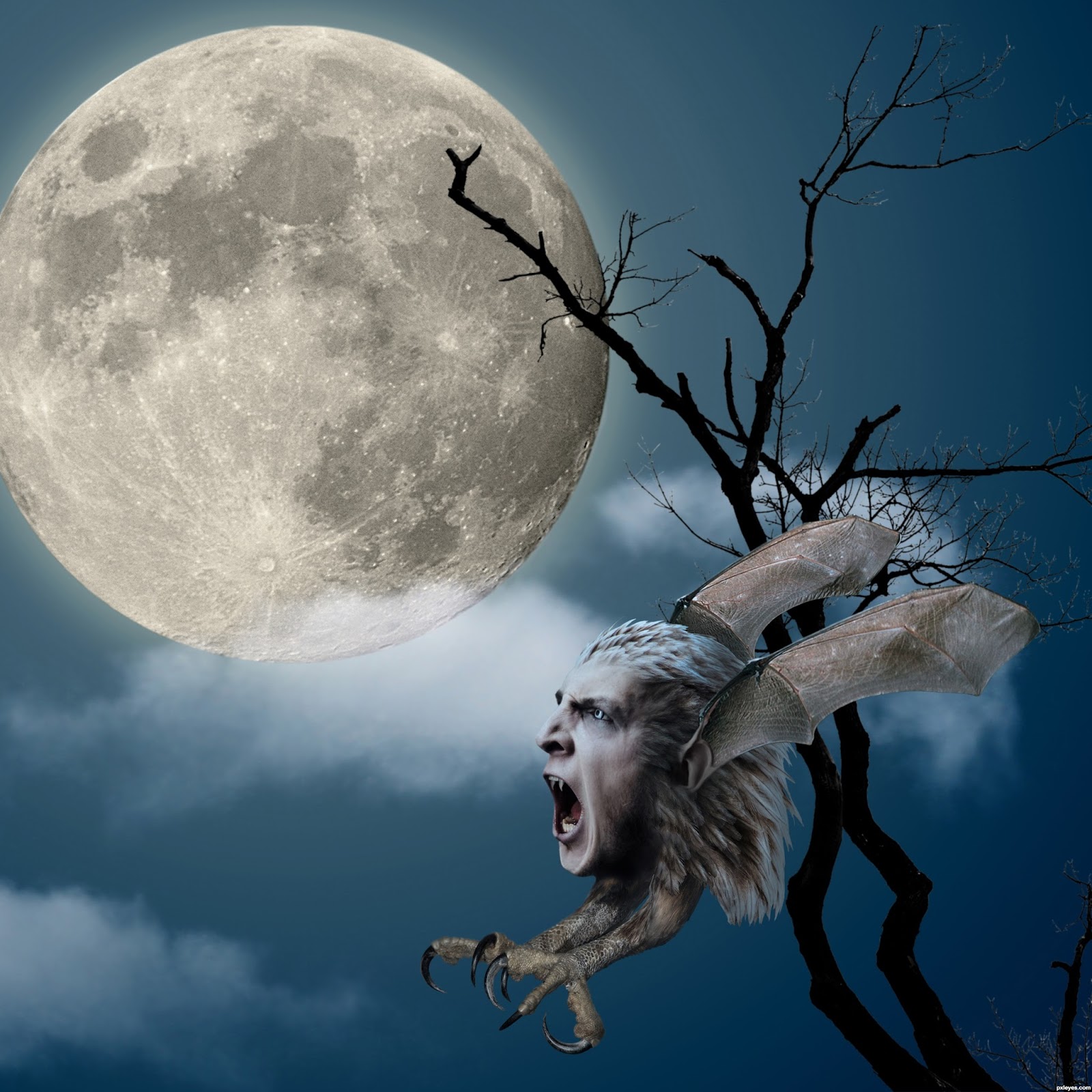 Portal dos Mitos: Chonchón