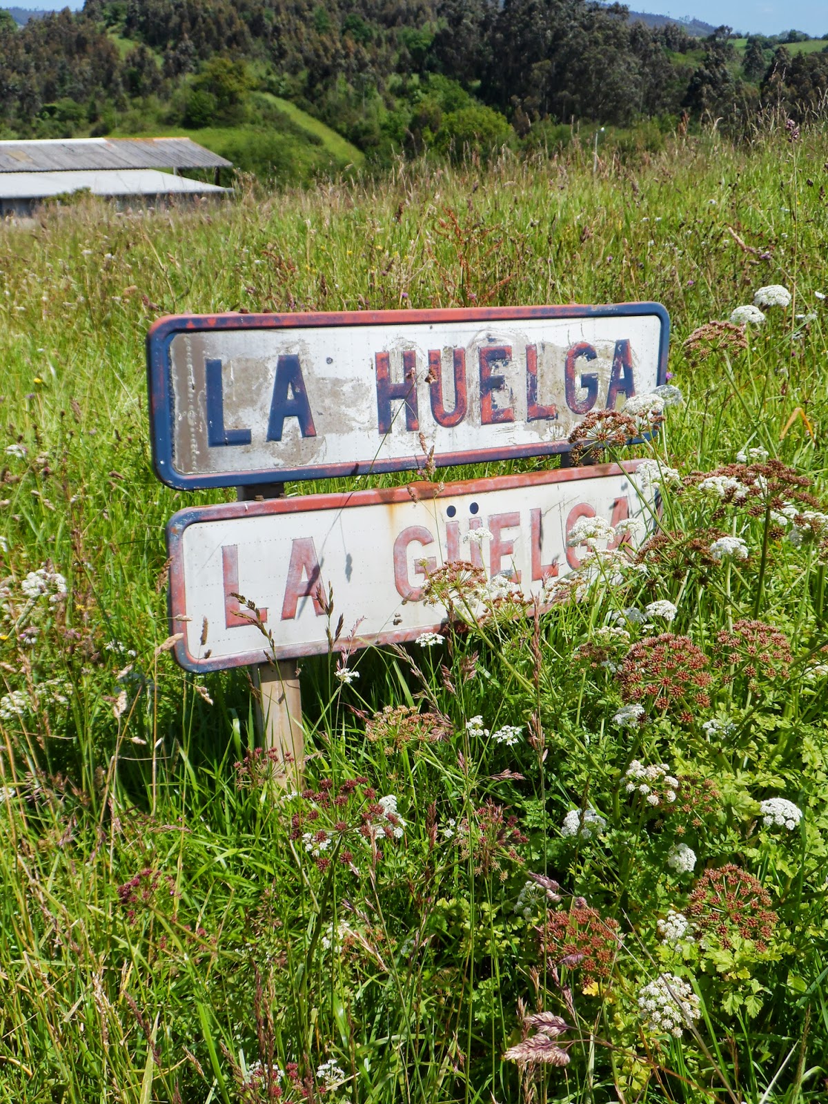 Senda BTT: Apeadero FEVE de Avilés - Embalse de Trasona - Monte'l Pando ...
