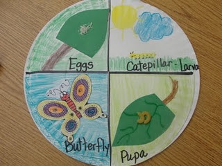 Everything Education : Butterfly Life Cycle Paper Plate Idea :)