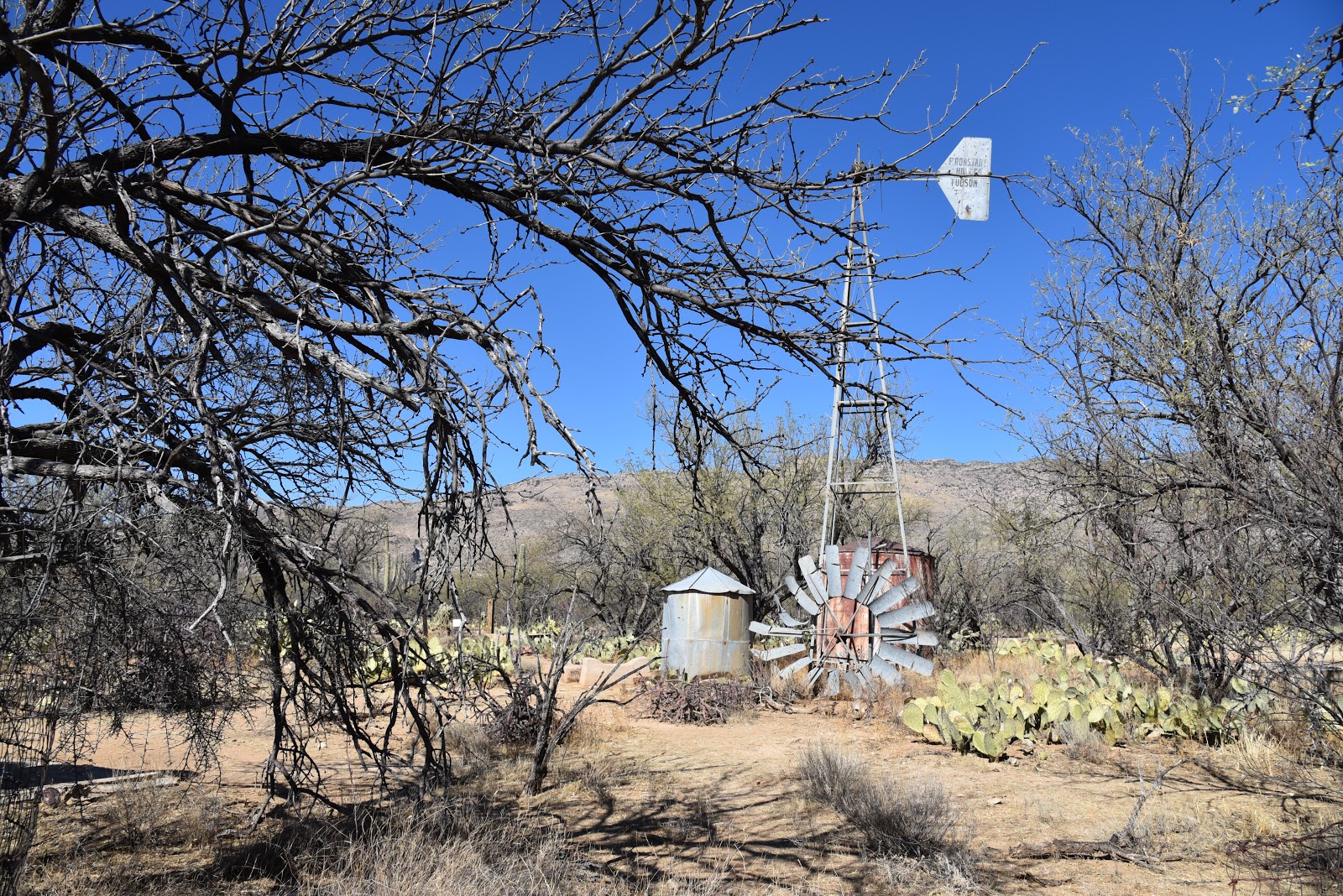 Arizona Hiking: HOPE CAMP TRAIL