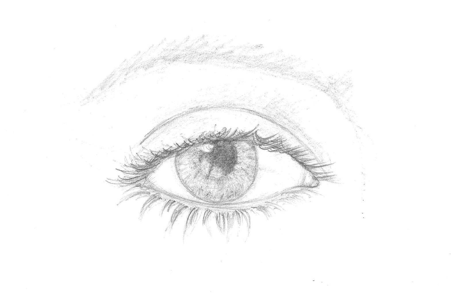 Studioz de Daniel: The Eye Renderings (1)