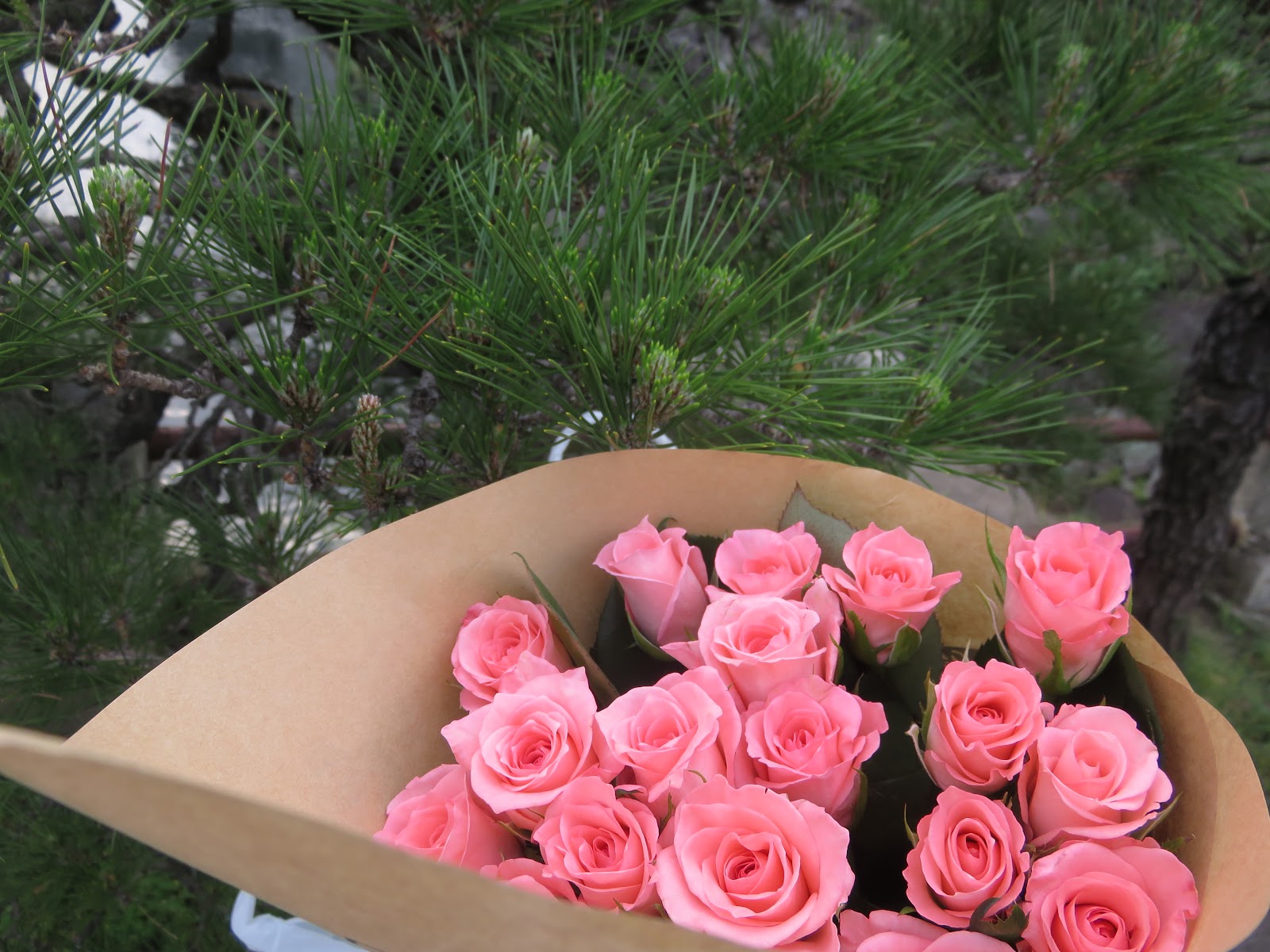 Challah and Cherry Blossoms: Shabbat flowers, Shabbat Shalom!
