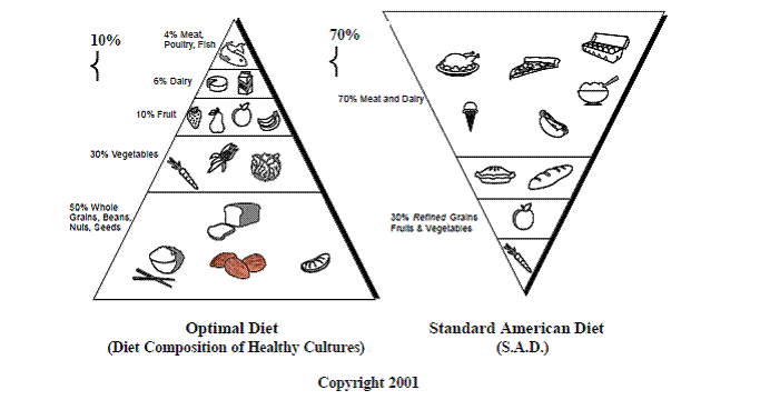 The Seed: An Optimal Diet