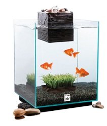 Fluval Chi - Chinese Nano Aquariums | Fluval Aquariums | Fluval ...