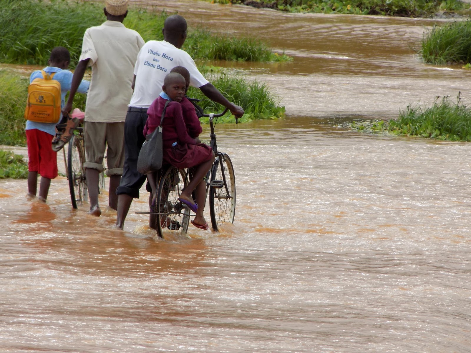 TANGA KUMEKUCHA: SAMAKI MKUNGA