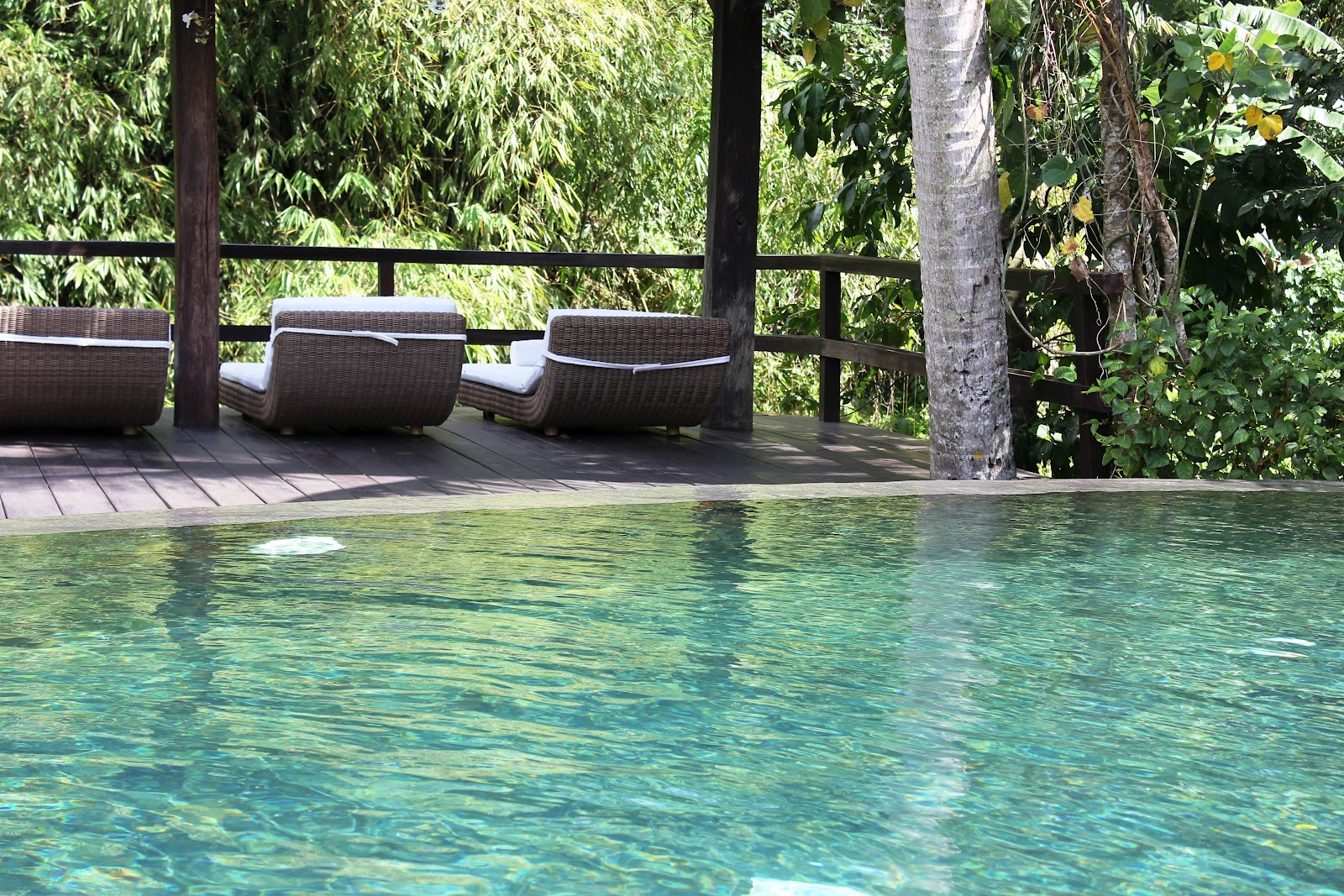 This Bamboo Life: Five Elements, Ubud