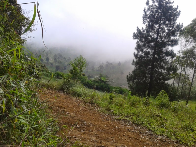 Panggil Aja Umang: Catatan Pendakian Gunung Cikurai 2821 Mdp