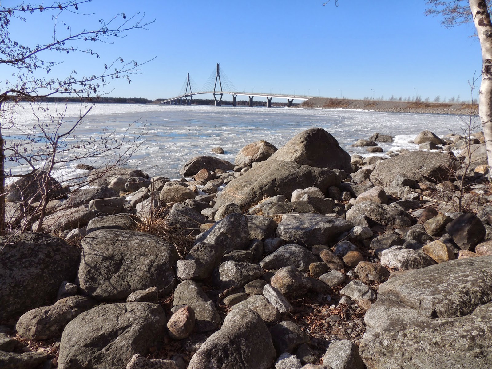 Gröna anemone: Stenar och is vid Replot-bron